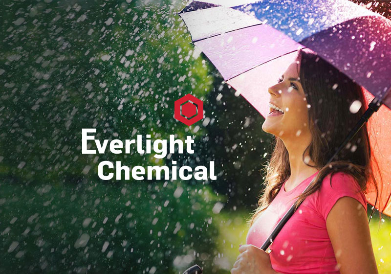 關於我們 | Everlight Chemical
